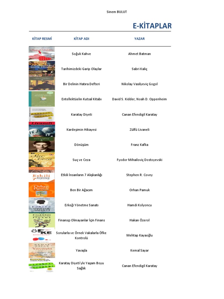 Sinem Bulut | PDF