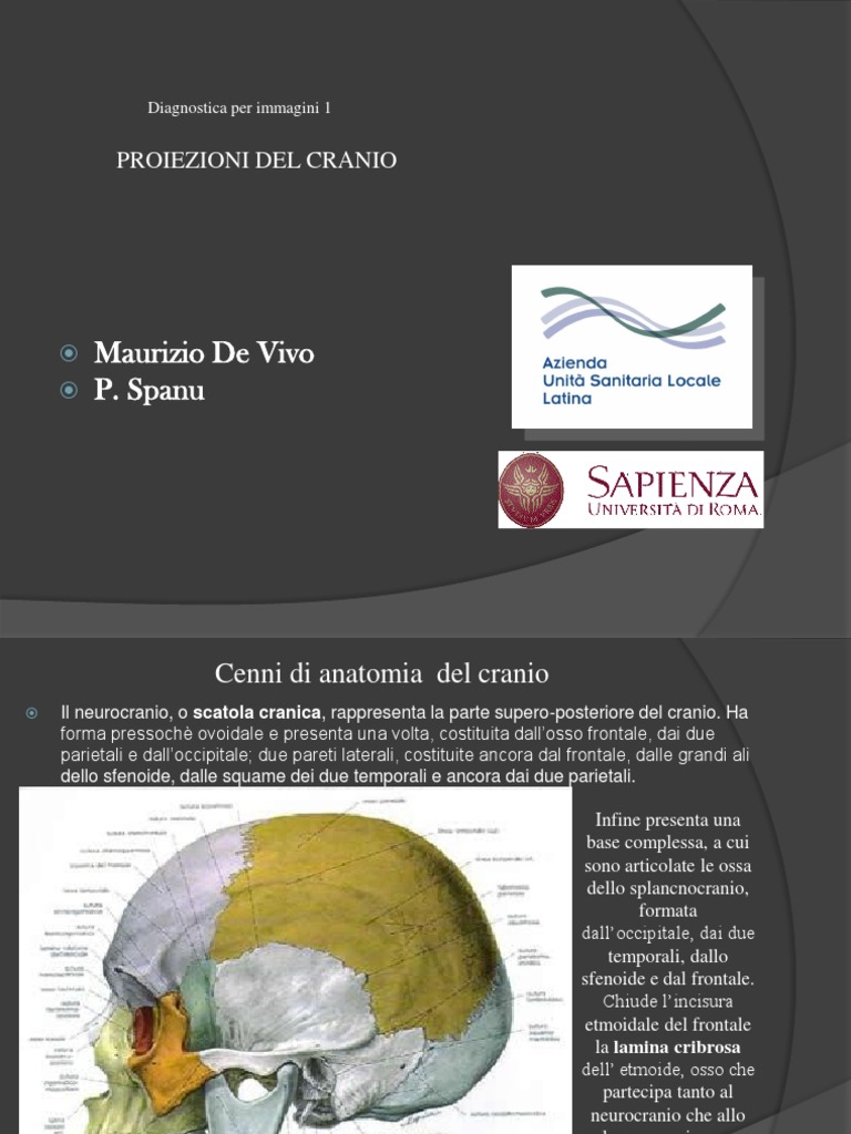 Cranio | PDF
