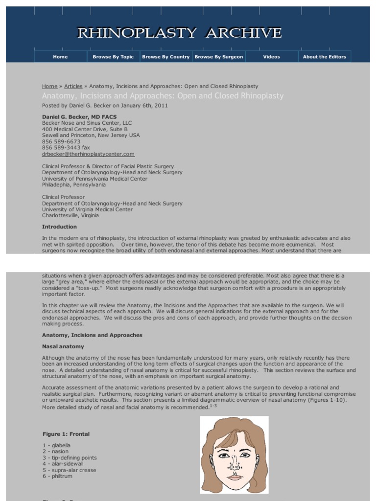 Anatomy, Incisions and Approaches Open and Closed Rhinoplasty PDF | PDF ...