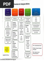 SFMA Score Sheet PDF | PDF | Anatomical Terms Of Motion | Dance Science
