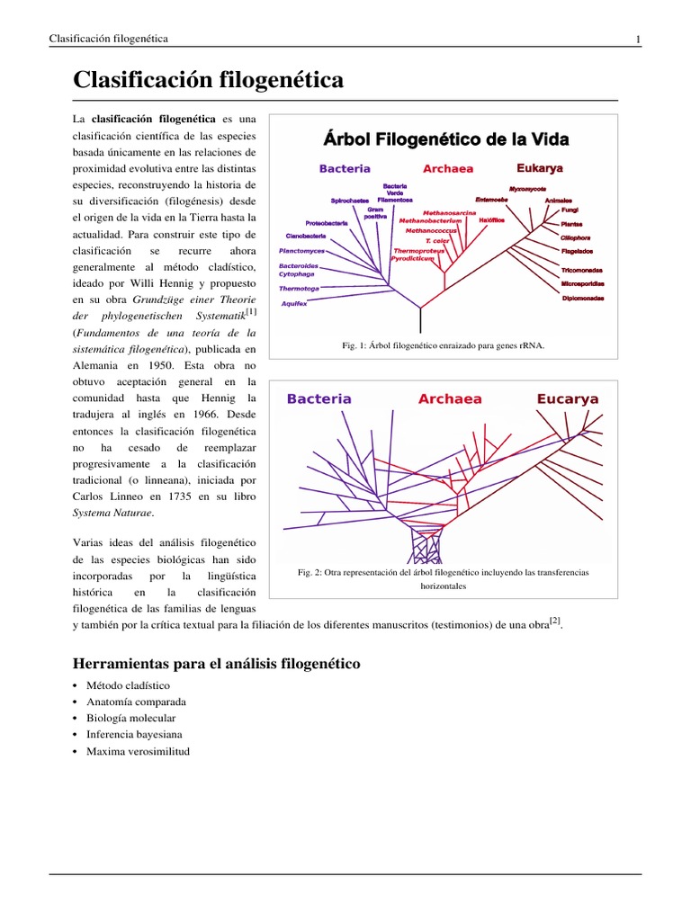 Clasificación filogenética | Filogenética | Biología evolucionaria