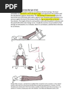 Burger-Allen Exercises | PDF | Vein | Circulatory System