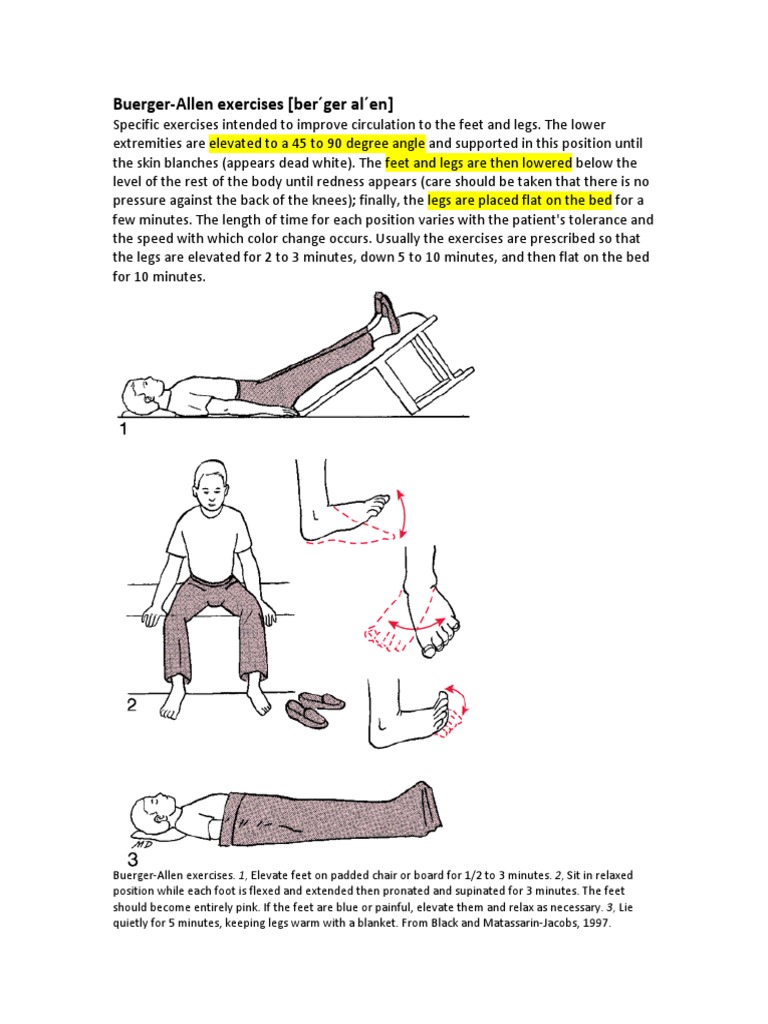 Buerger-Allen Exercises PDF | Download Free PDF | Human Leg ...