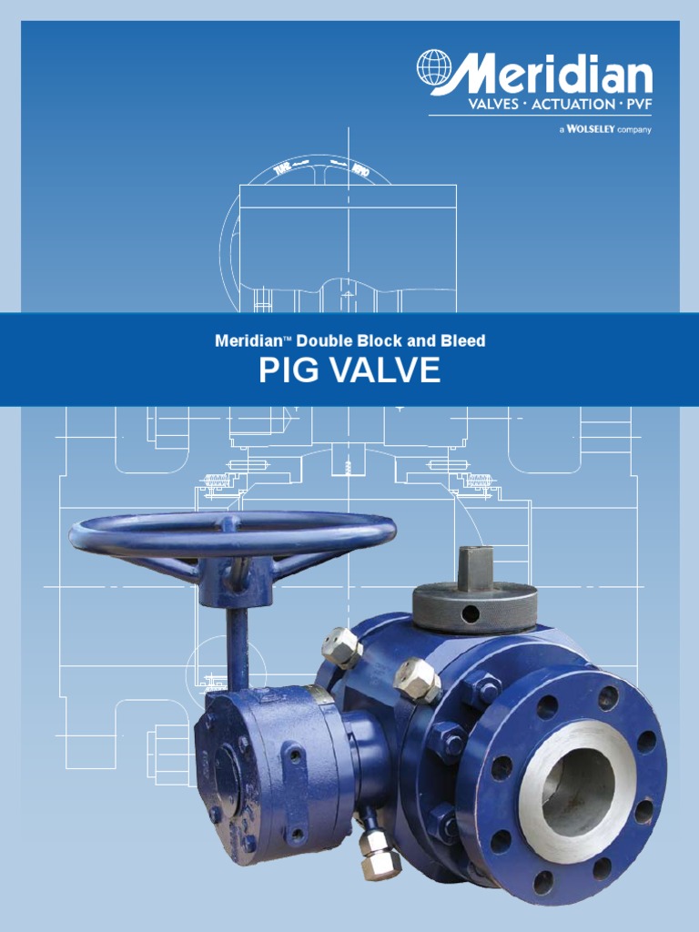 Pigging Valves PDF | PDF | Valve | Mechanical Engineering