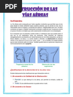 Atresia Laríngea | PDF | Endoscopia | Parto