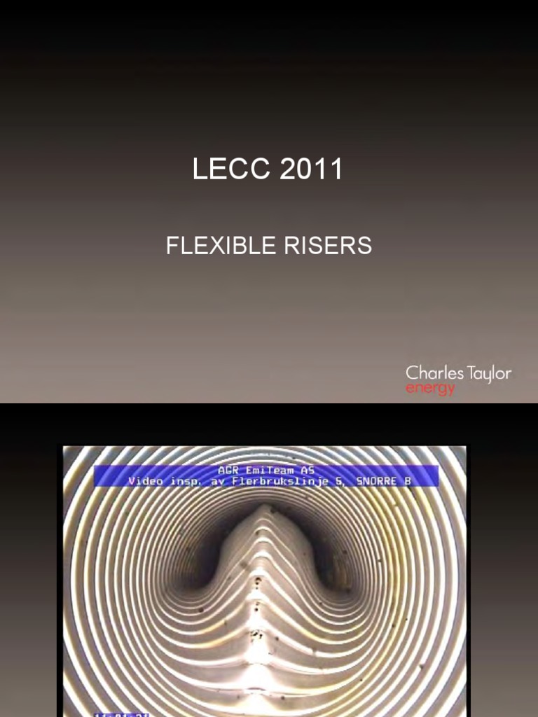 Flexible Risers PDF | PDF | Cable | Subsea (Technology)