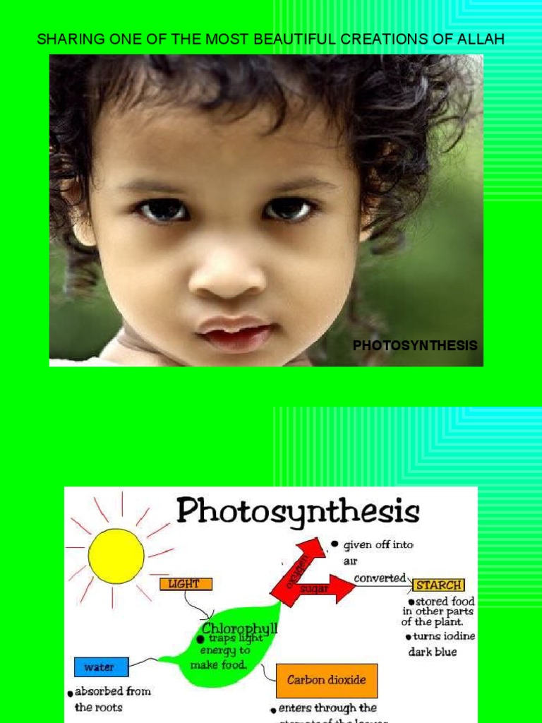 Sharing One of The Most Beautiful Creations of Allah | PDF ...