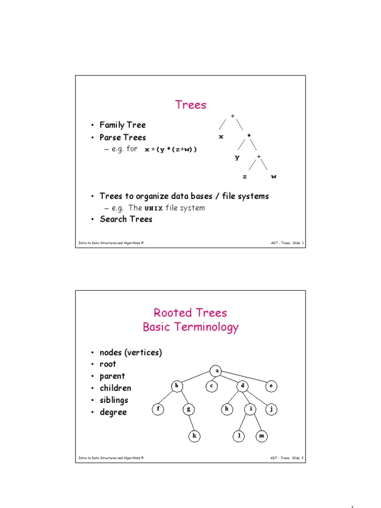 Family Tree - Parse Trees | Download Free PDF | Areas Of Computer ...