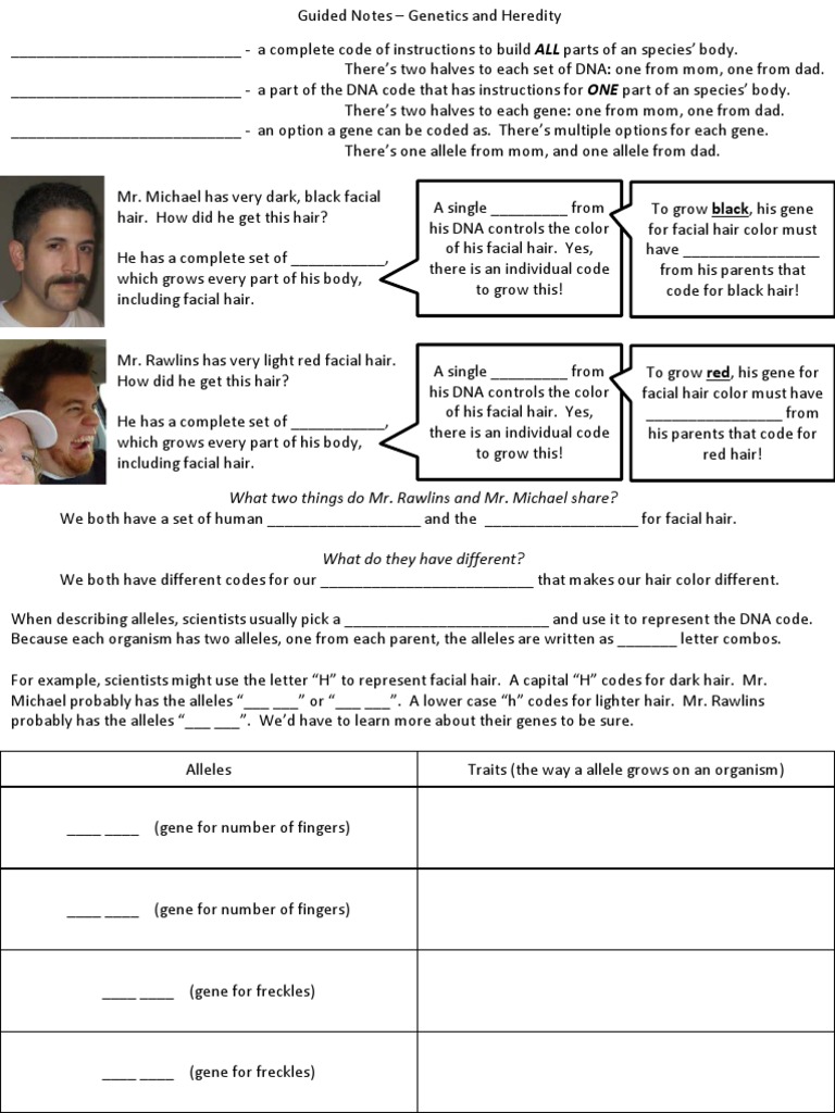 Lesson 6 Guided Notes | PDF