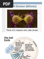 BioMan Biology 2 | PDF | Mitosis | Cell (Biology)