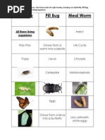 5 E Lesson Plan For Second Grade Life Cycles | PDF | Pupa | Butterfly