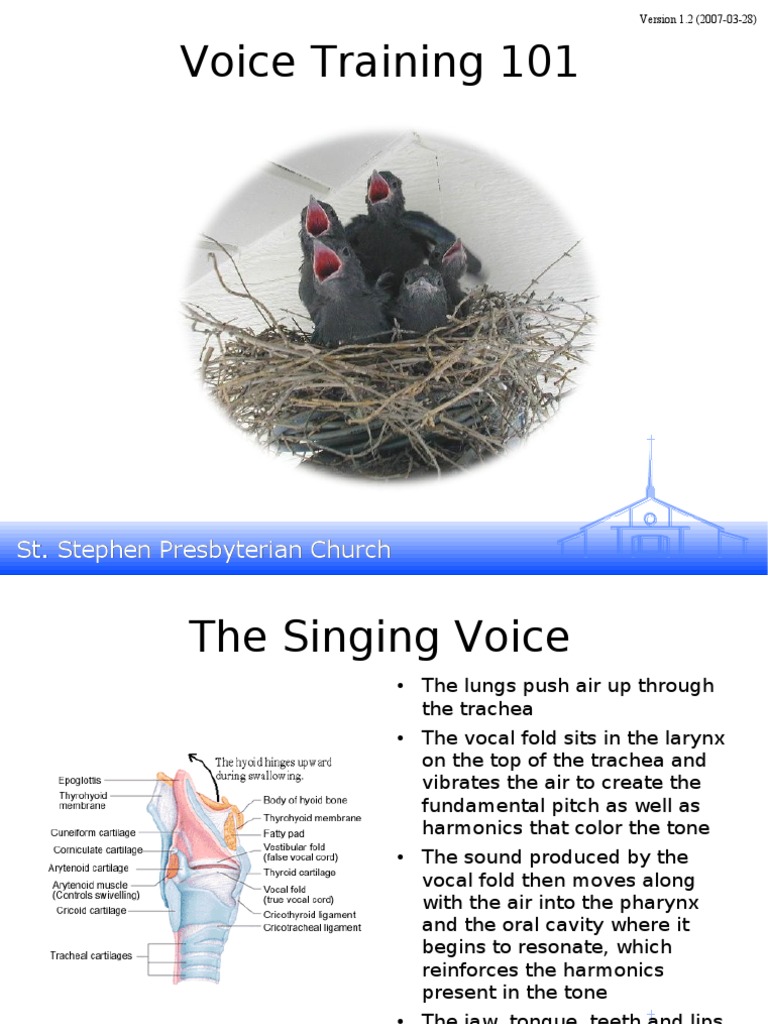 voice-training-101-v1.2.pdf | Singing | Human Voice