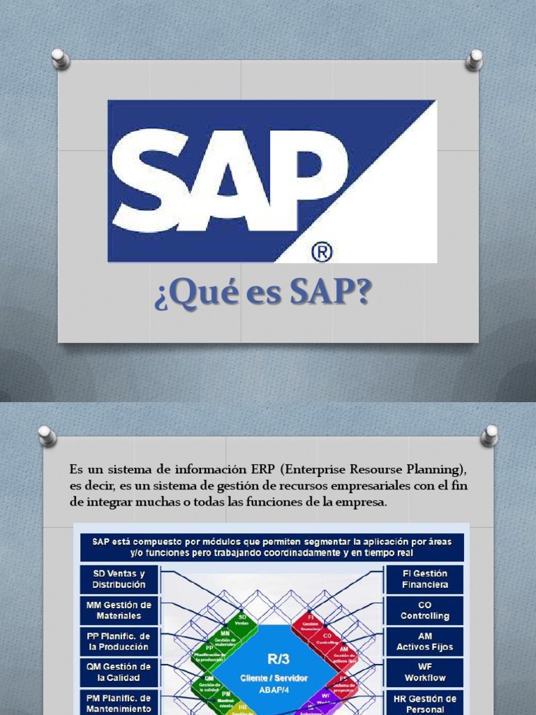 Qué Es SAP | PDF | Sap Se | Áreas de informática