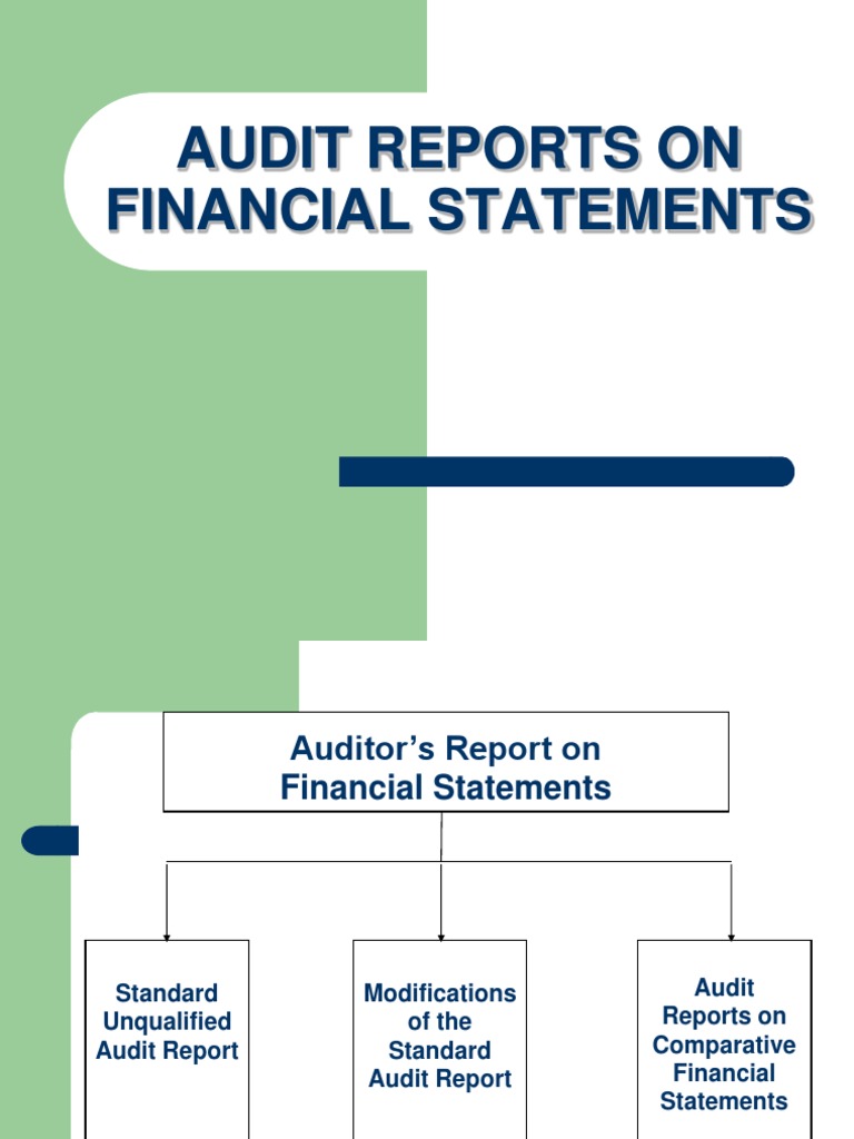 audit report.pdf | Financial Audit | Auditor's Report