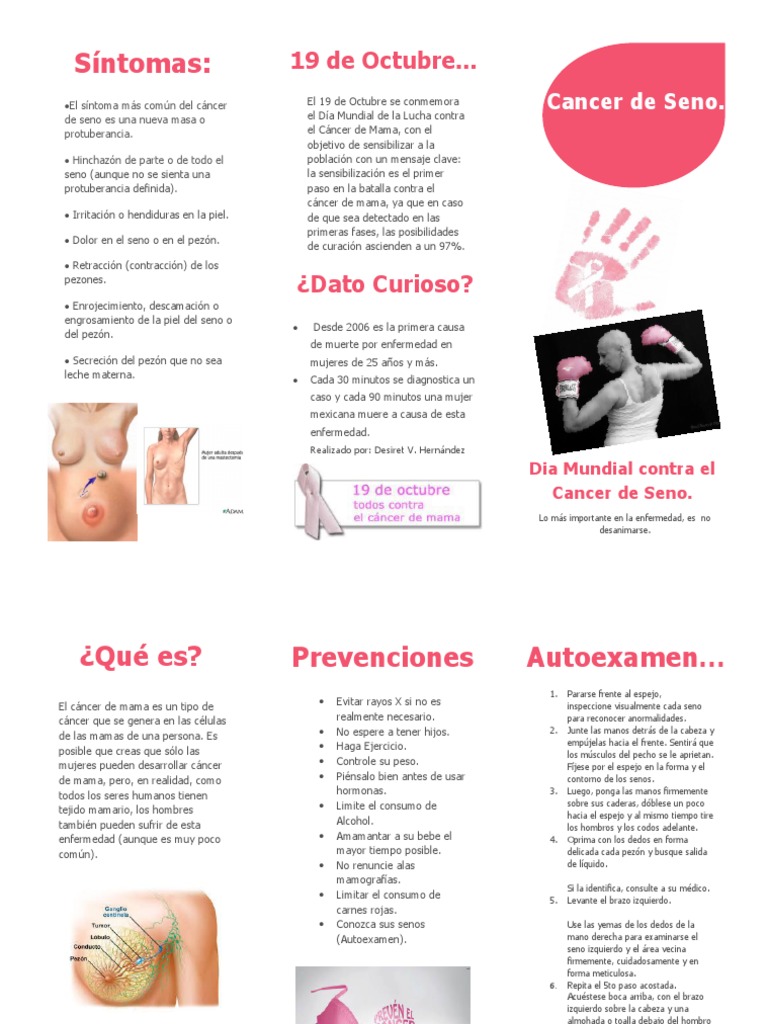 Triptico Cancer de Mama