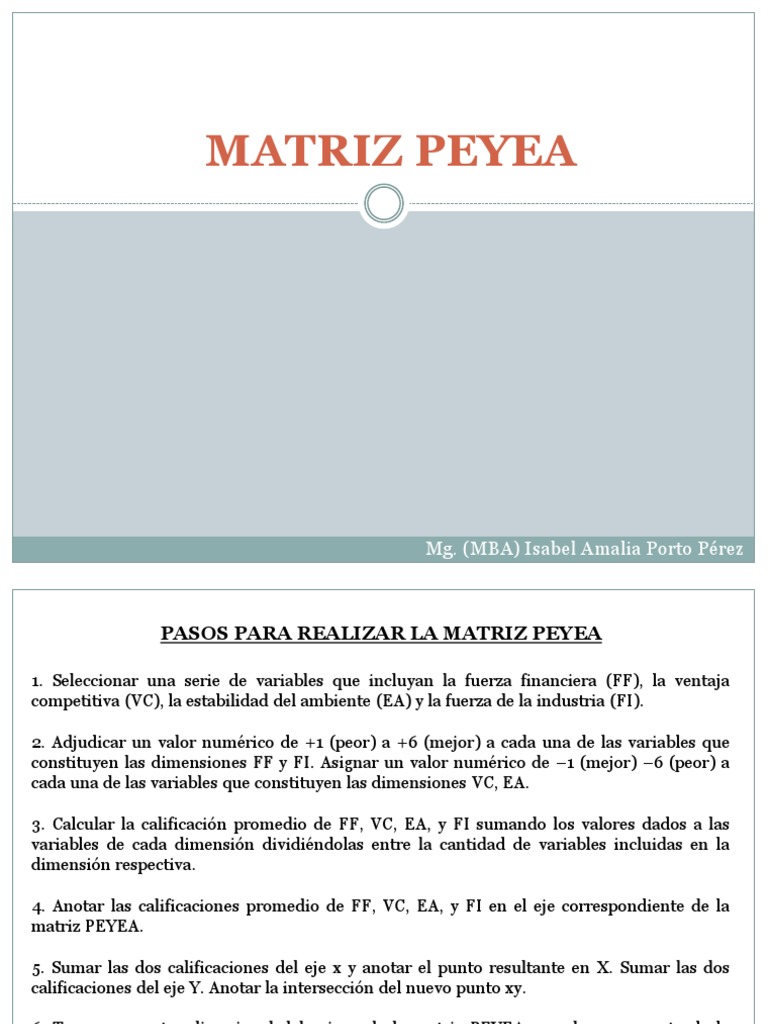 Matriz Peyea | PDF