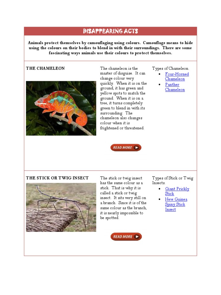 Camouflage in Animals: Chameleons & Insects | PDF