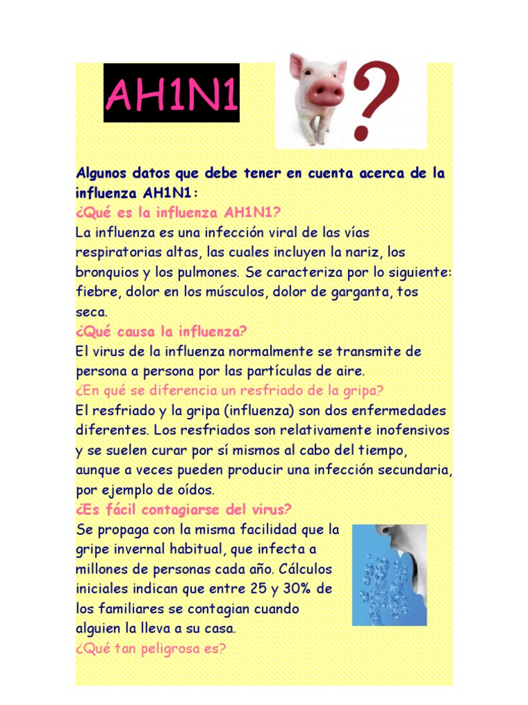Influenza AH1N1 3 | PDF