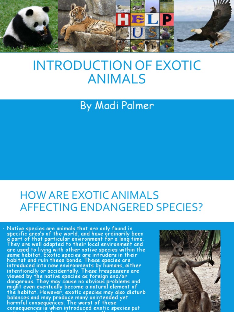 Introduction of Exotic Animals | PDF | Introduced Species | Endangered ...