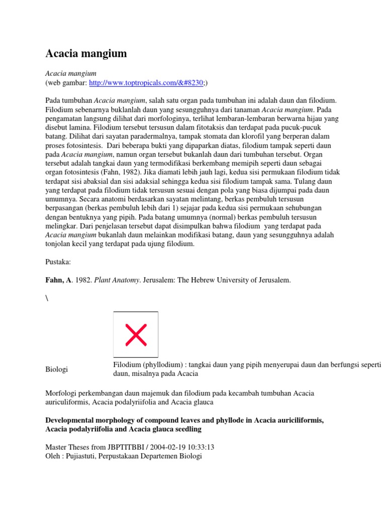 Morfologi Filodium pada Acacia mangium | PDF | Cabang Botani | Botani
