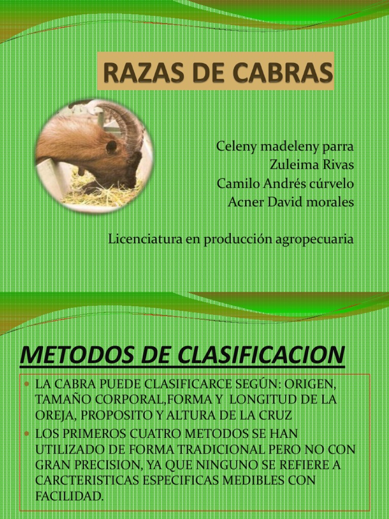 Clasificación de Razas de Cabras | PDF | Naturaleza | Salud y bienestar