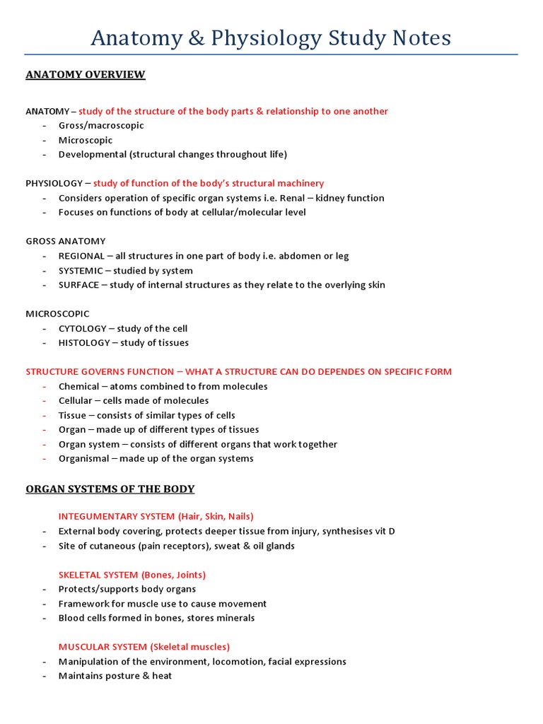 Anatomy & Physiology Mid-Semster Study Notes PDF | PDF | Vertebra ...
