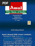 Distribution Channels of AMUL - FINAL | PDF | Direct Marketing | Inventory