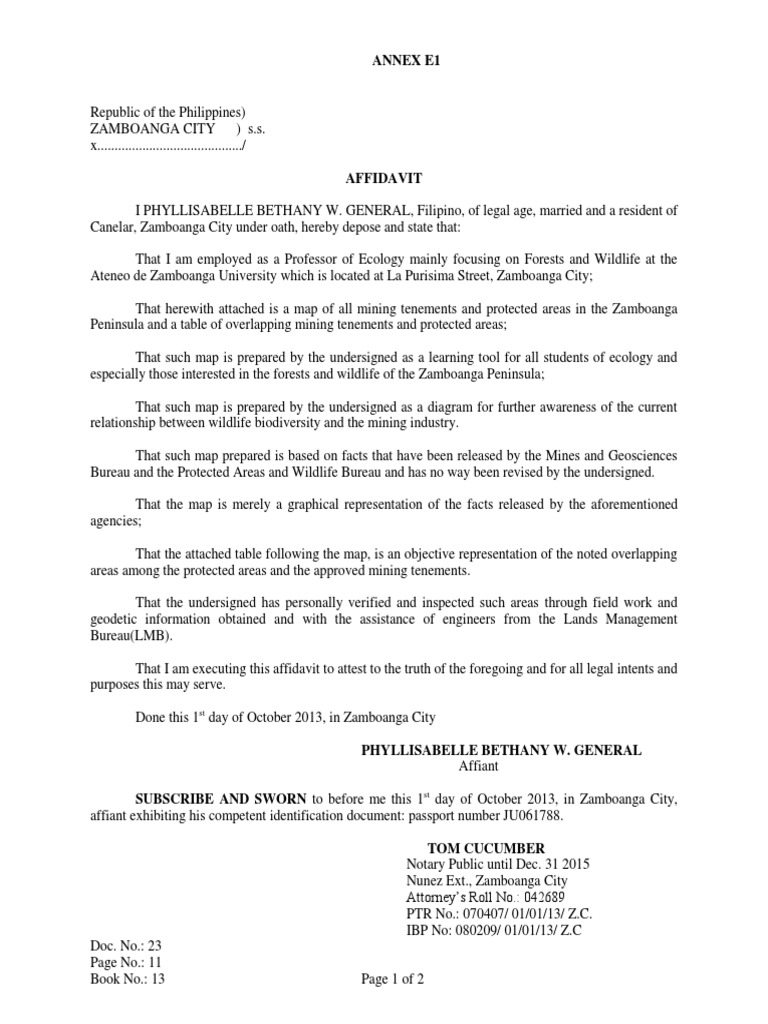 Affidavit Sample | PDF | Affidavit | Natural Environment