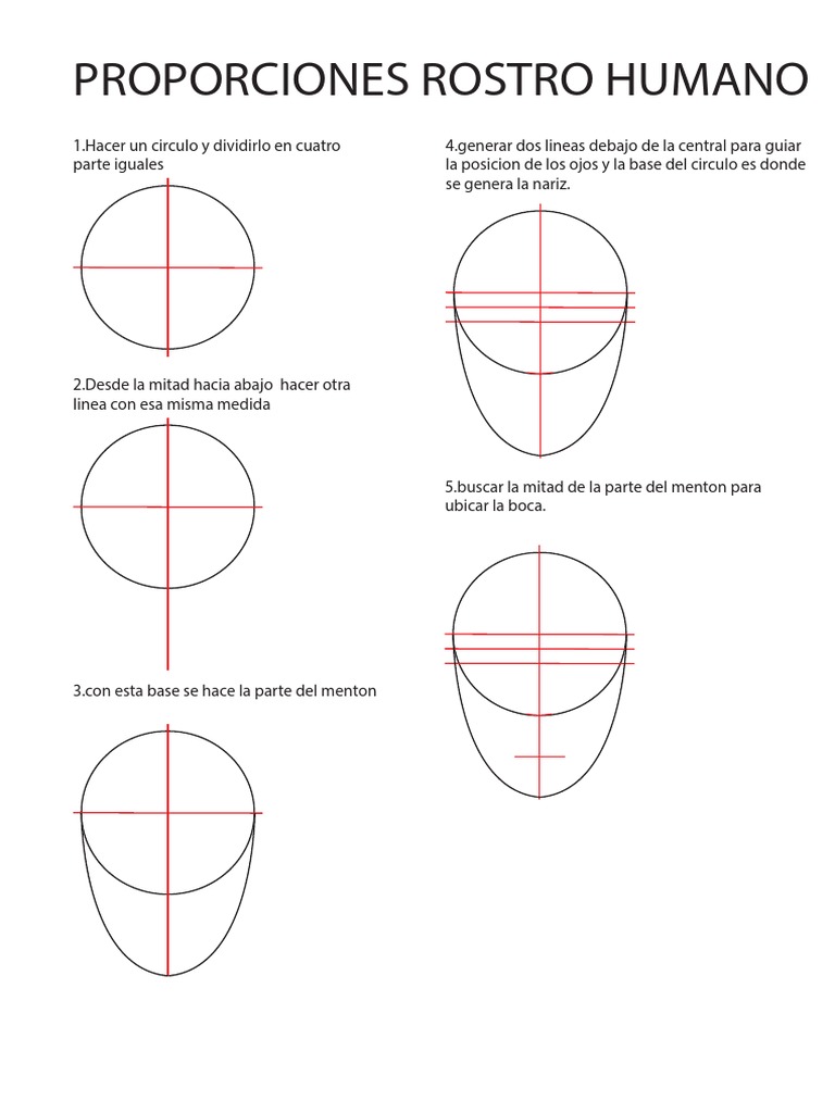Proporciones Rostro Pdf