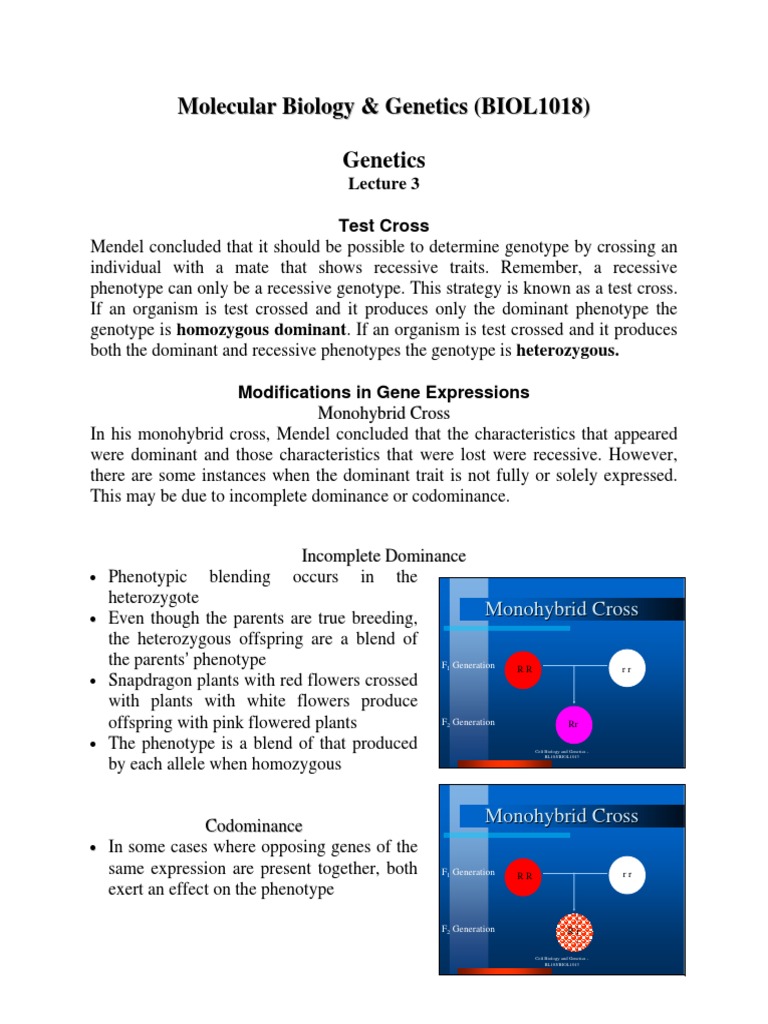 Genetics | PDF | Dominance (Genetics) | Zygosity