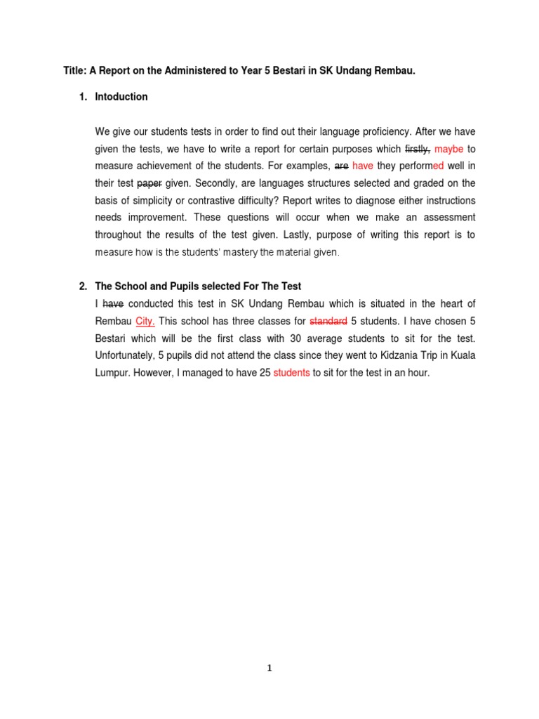 Ain Test Report | PDF | Educational Assessment | Linguistics