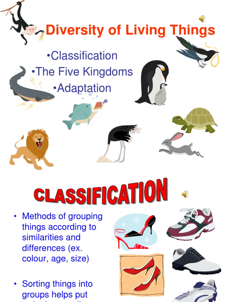 Five Kingdoms of Living Organisms | PDF | Plants | Bacteria