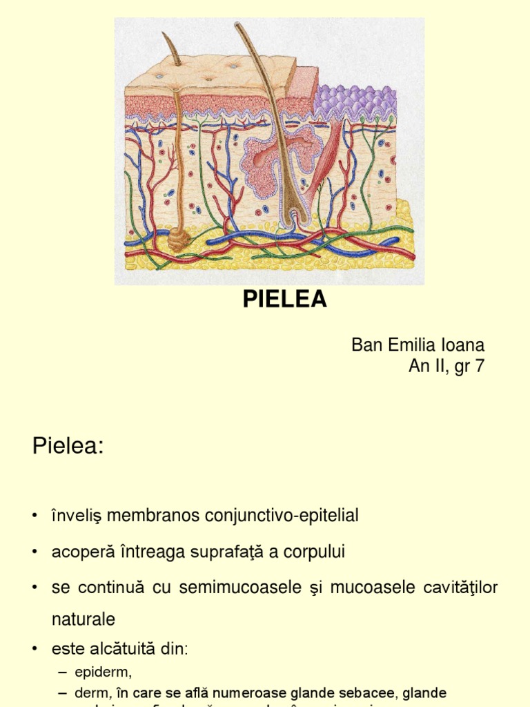 Pielea.ppt