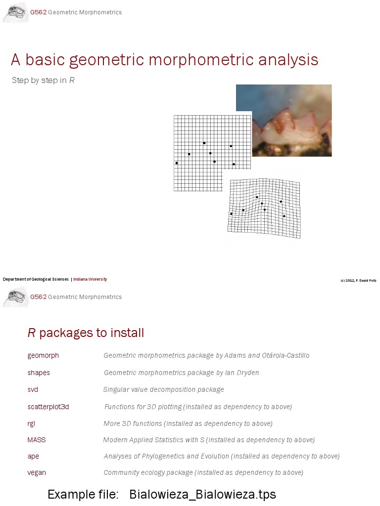 A Step-by-Step Guide to Performing a Basic Geometric Morphometric Analysis in R | PDF ...