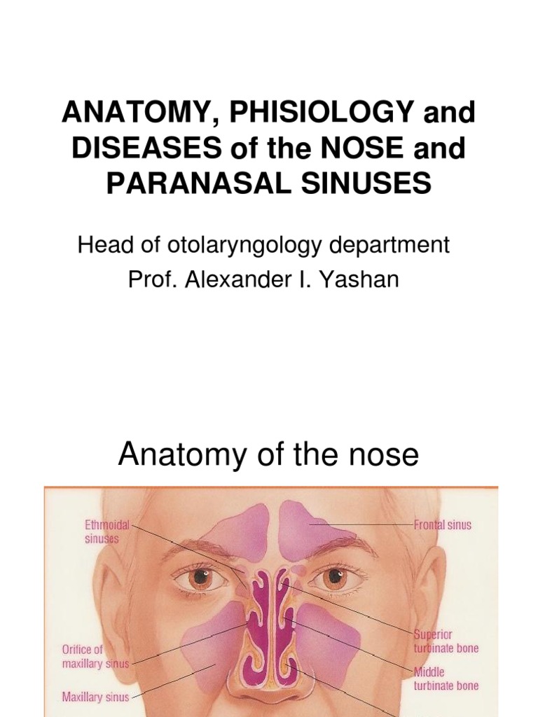 Deviated Nasal Septum | PDF | Common Cold | Mucus