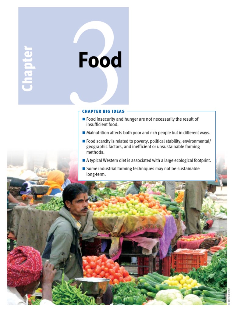Food Lessons - Teacher | PDF | Green Revolution | Famine