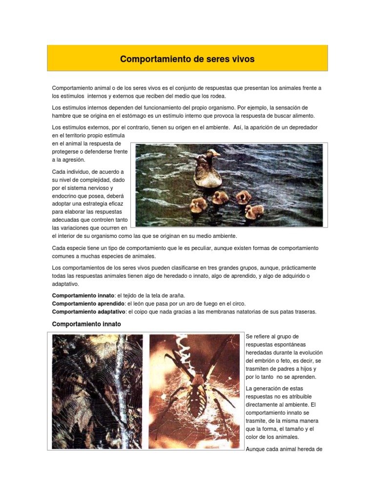 Comportamiento de Seres Vivos | PDF | Comportamiento | Percepción