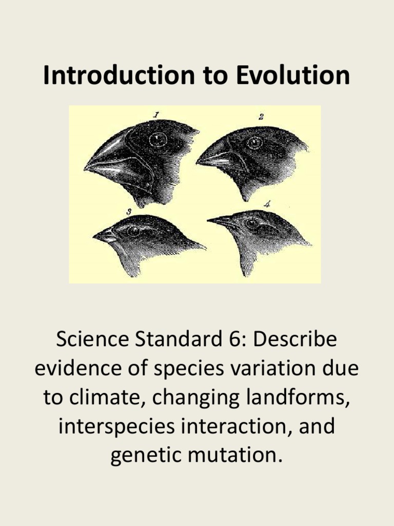 Introduction to Evolution | Genetic Diversity | Evolution