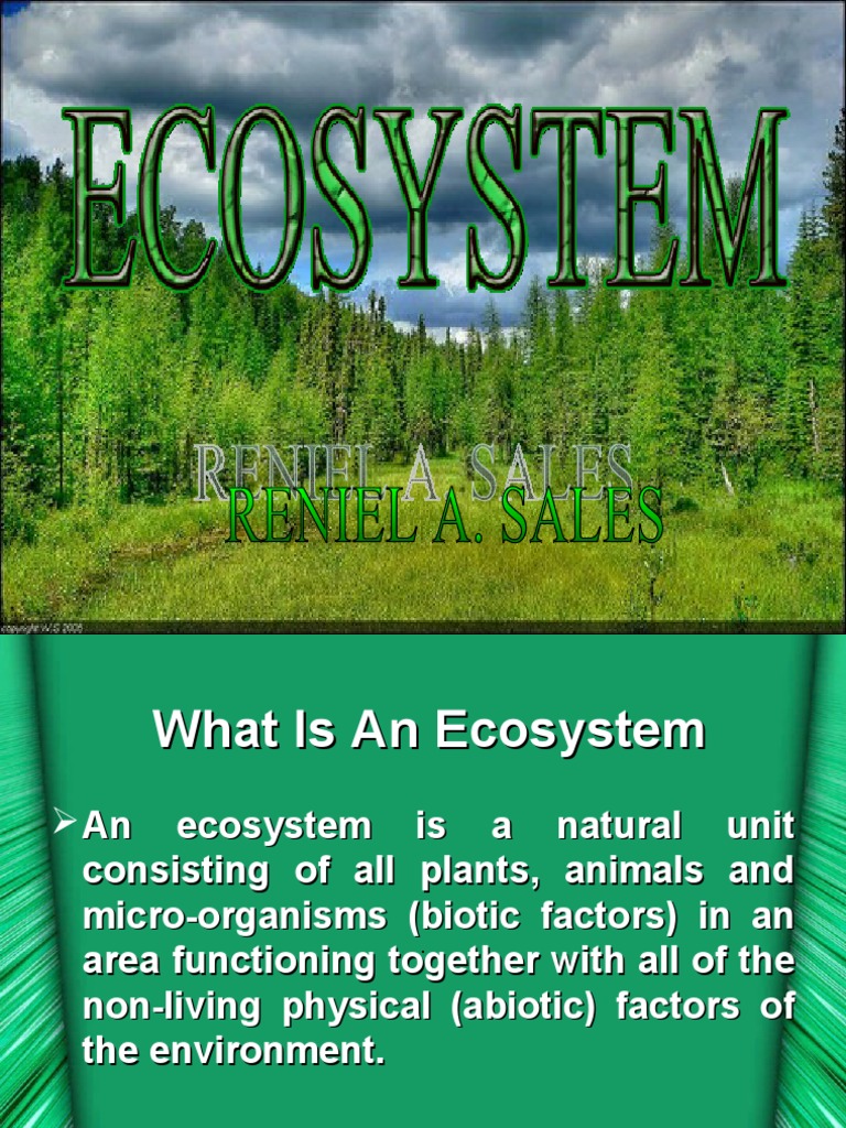 What Is An Ecosystem | PDF | Food Web | Ecosystem