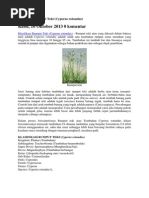 Morfologi Batang Rumput Teki | PDF | Griya & Taman | Sains & Matematika