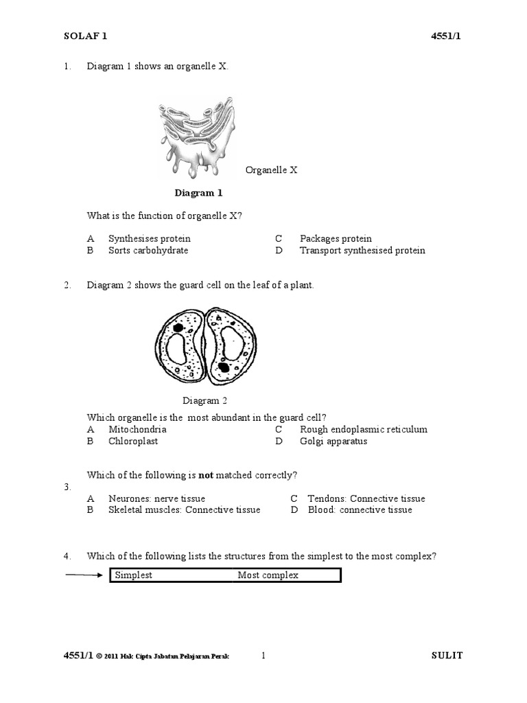 Bio Paper 1 | Download Free PDF | Meiosis | Cell (Biology)