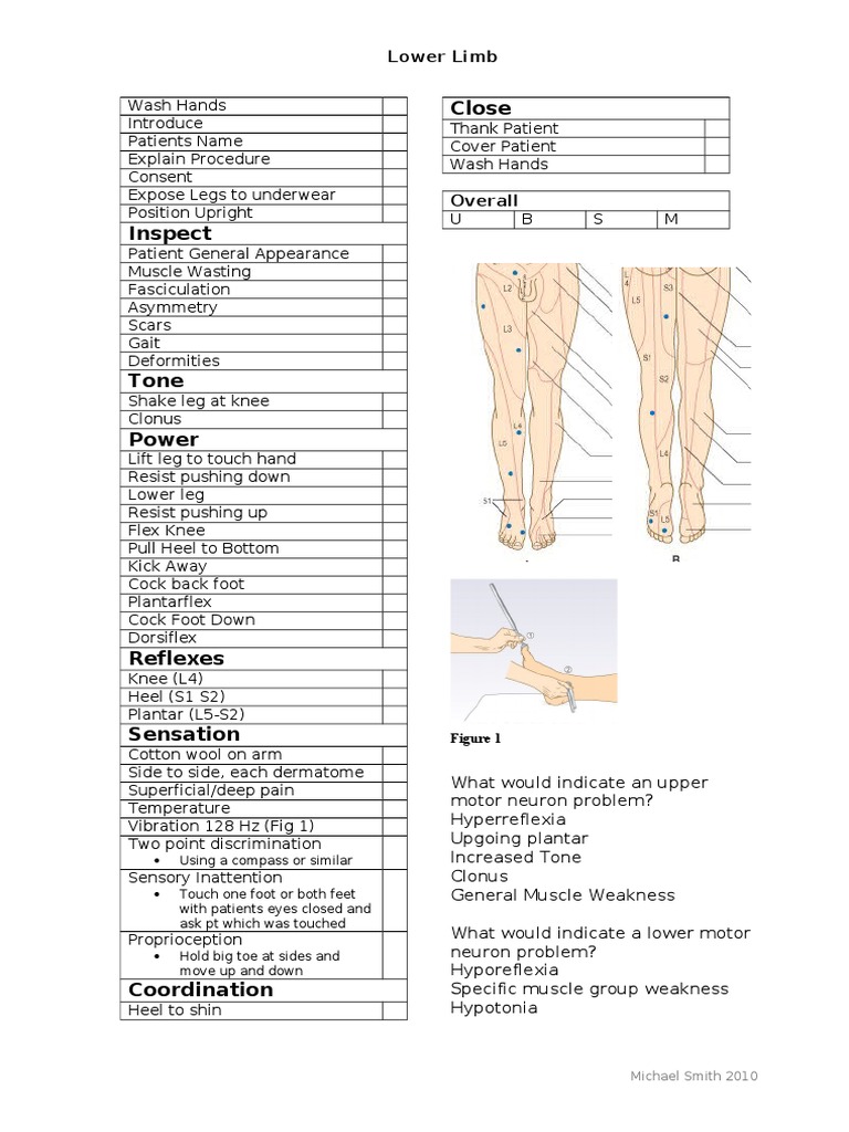 Lower Limb OSCE Exam Checklist | PDF