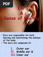 Gr.12 Life Sciences The Ear | PDF | Ear | Auditory System