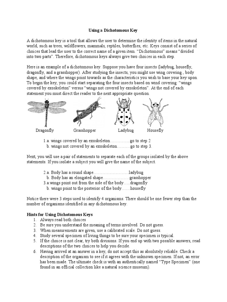 10 S Mythological Creatures Dichotomous Key Lab | PDF | Dragon | Monsters