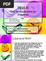 Ficha Tecnica TEVI R | PDF