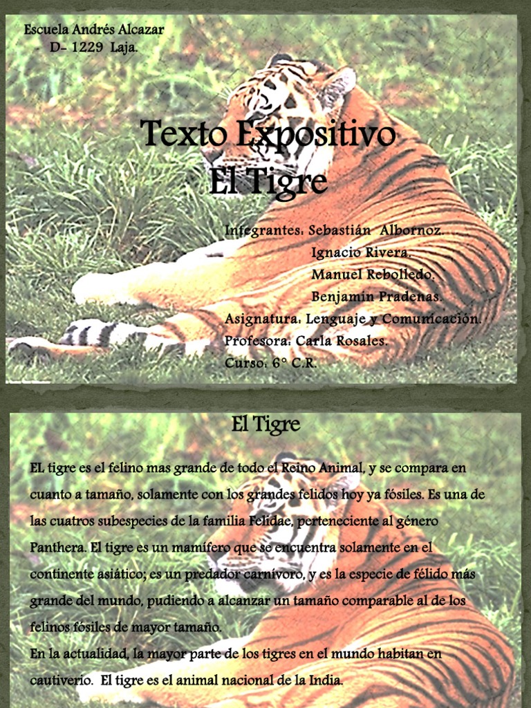 Texto Expositivo El Tigre
