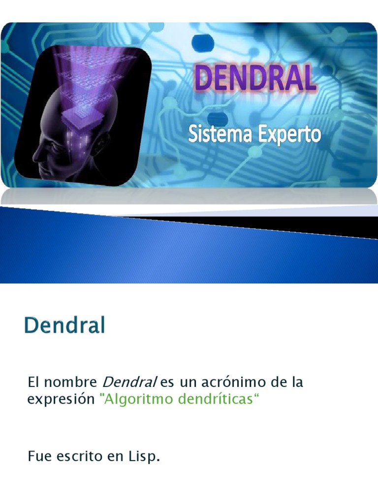 Dendral | PDF
