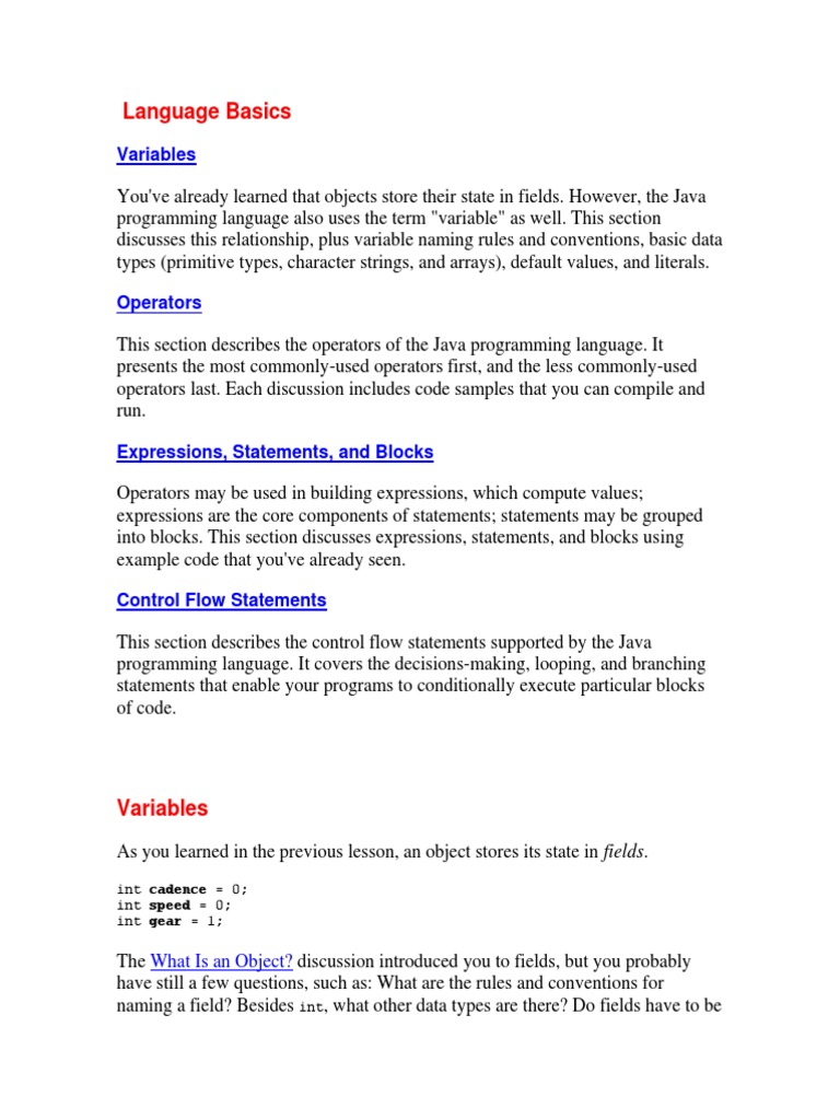 Language Basics | PDF | Data Type | Integer (Computer Science)
