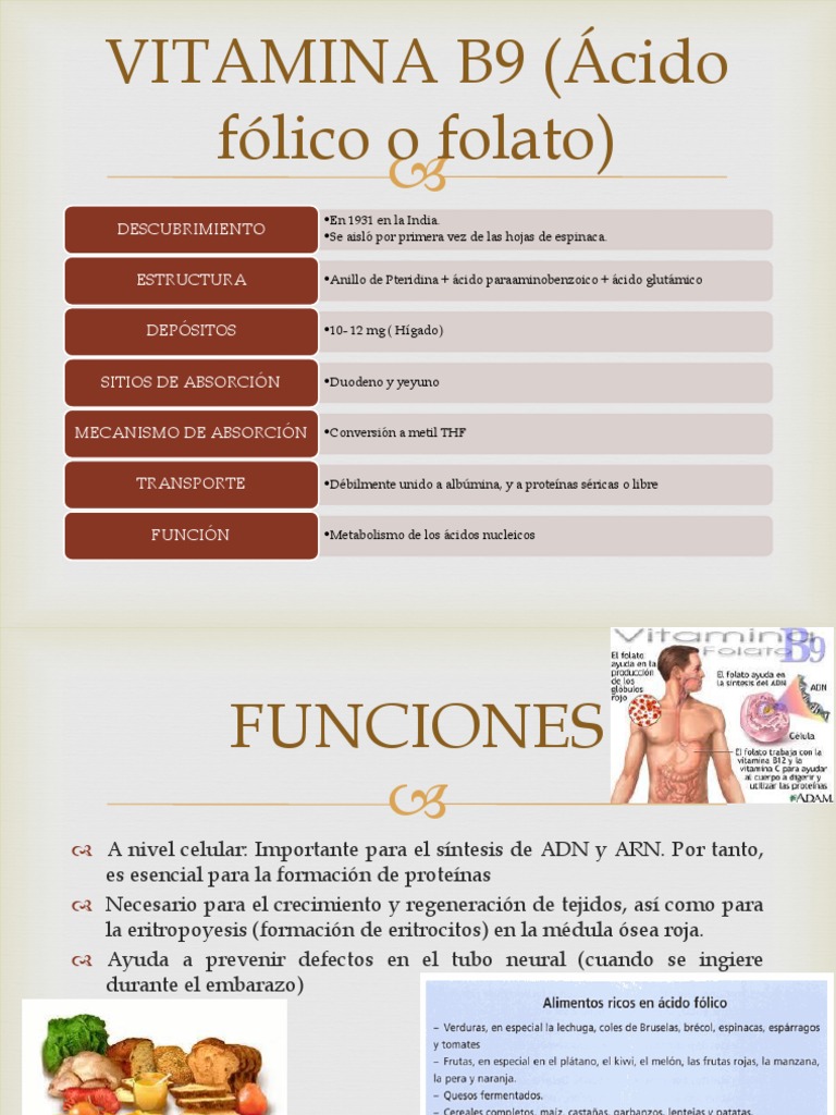 Vitamina B9 | PDF