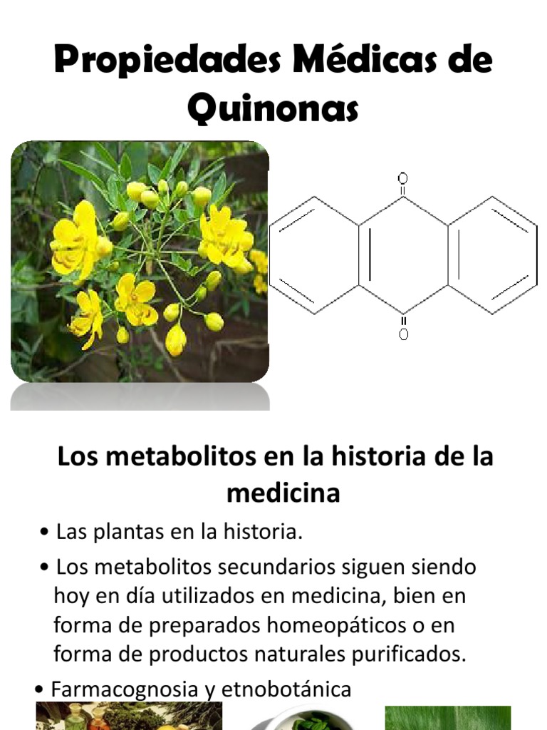 Propiedades Médicas de Quinonas | PDF